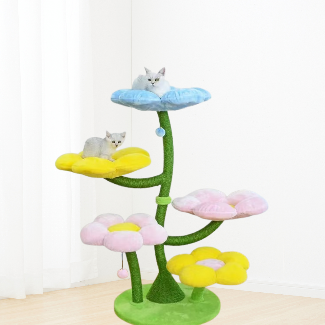 Von der Haustierliebe zur preisgekrönten Marke: Anna Song gewinnt Gold Stevie® Award